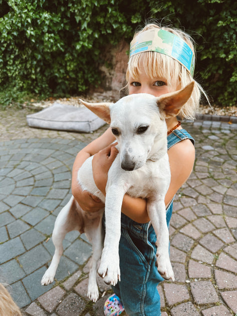 Bewertung und Benotung von Kindern – SOL & PEPPER